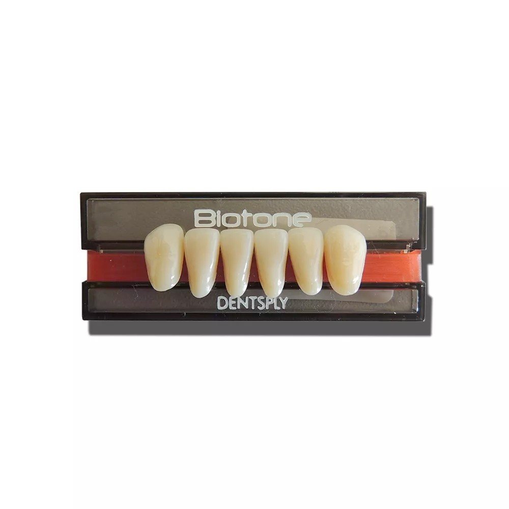 DENTE BIOTONE ANTERIOR INFERIOR - DENTSPLY - A Dental
