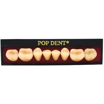 Dente Pop Dent Posterior Inferior - Dentbras - A Dental